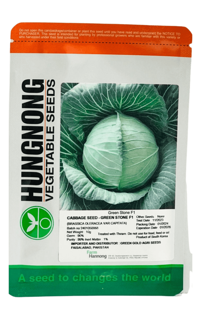 Green Stone F1 Hybrid Cabbage Seed – Agritech Seeds