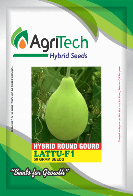 Lattu F1 Hybrid Round Gourd(kaddu)-Agritech – Agritech Seeds